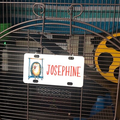 Personalized Hedgehog Name Plate / Hedgehog Sign / Cage Accessory ...