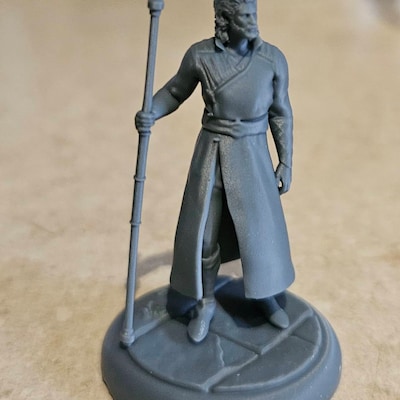 Lae'zel 1:12 Scale Unpainted Unassembled 3D Resin GK Kit Baldur's Gate ...