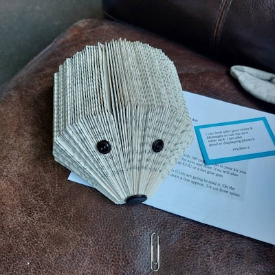 Book Folding Hedgehog Instructions - Etsy
