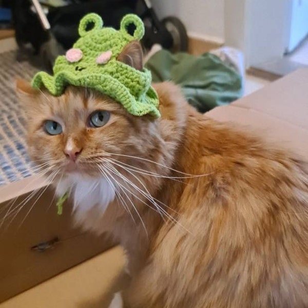 Cat Collar | Crochet | Knitted | Letterbox Gift | Handmade | Cat Lady ...