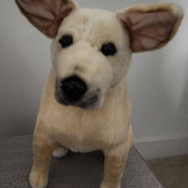 Custom Stuffed Animals Your Dogs, Photo to Custom Stuffed Animal, Plush ...