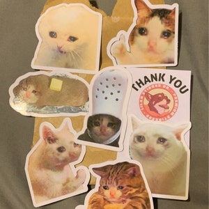 Crying Cat Sticker Pack Pack of 7 Meme Crying Cat Stickers - Etsy