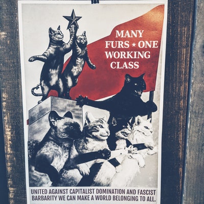 Soviet Cat Poster Many Furs One Working Class - Etsy
