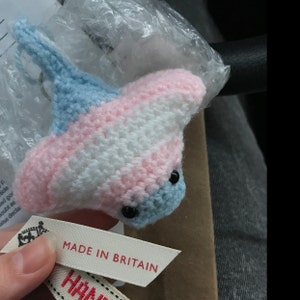 Lesbian Pride Stingray - Etsy