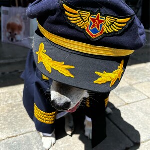 Custom Made Dog Cat Pet Pilot Captain Aviator Uniform Blazer Coat and ...