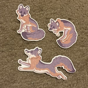 Opossum Tracks Decal Possum Paw Print, Animal Tracks, Wildlife, Vinyl ...