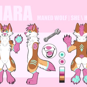 Complex Furry / Fursona Reference Sheet - Etsy