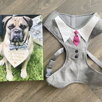 Dog Wedding Harness, Dog Adjustable Harness, Dog Wedding Attire, Dog ...