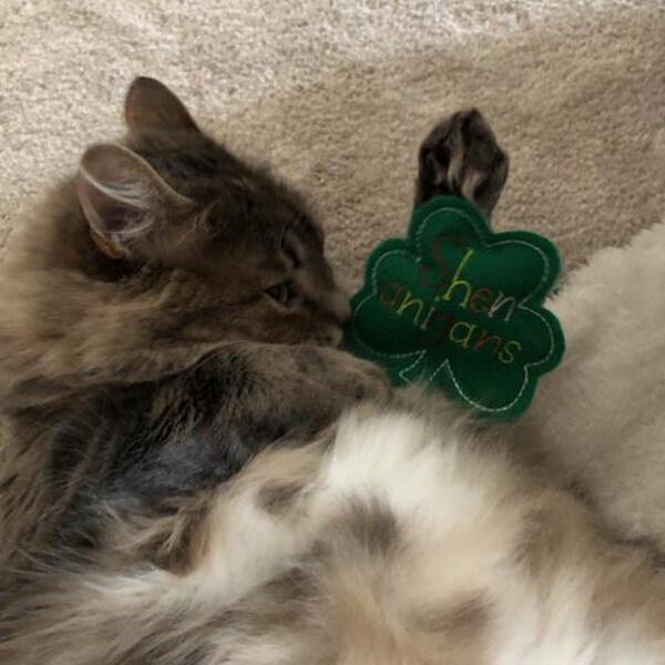 Elf Photographer Dream Set With Sound & Flash: 1/6 Scale Camera, Easel ...