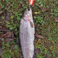 Steven Kaye Carved Southwestern Style Studio Pottery Vase - Beaded ...