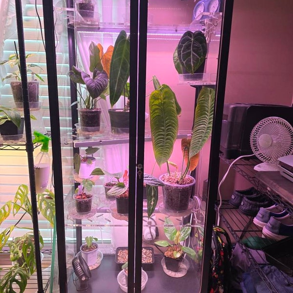 V2** Milsbo Tall 11 Piece Acrylic Shelf Set for Ikea Greenhouse Cabinet ...