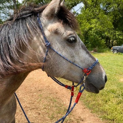 Braided Neck Rope Bridleless Neck Rope Paracord Braided Neck Rope ...