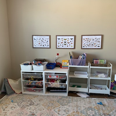 Texas Backyard Birds Field Guide Art Print / Watercolor Painting Print ...