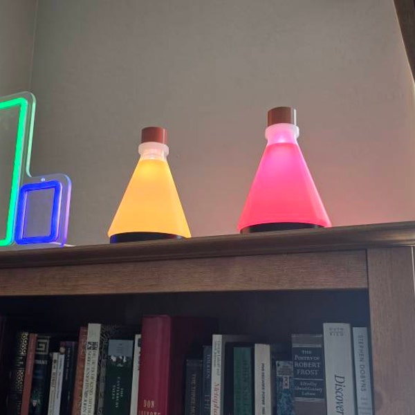 Snail Lamp Wireless RGB Gift for Her Custom Lamp Cottage Core Nature ...