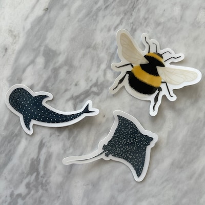 Transparent Whale Shark Sticker Clear Whale Shark Sticker Waterproof ...