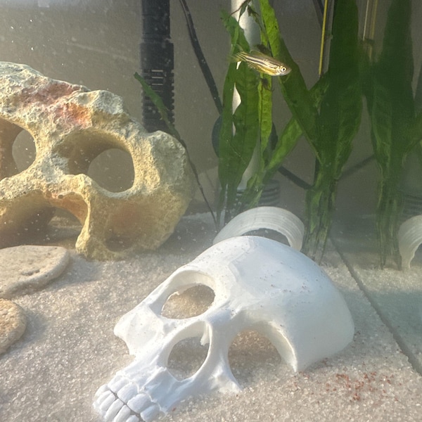 Reptile Terrarium Hide — Human Skull Cave for Geckos, Snakes, and ...
