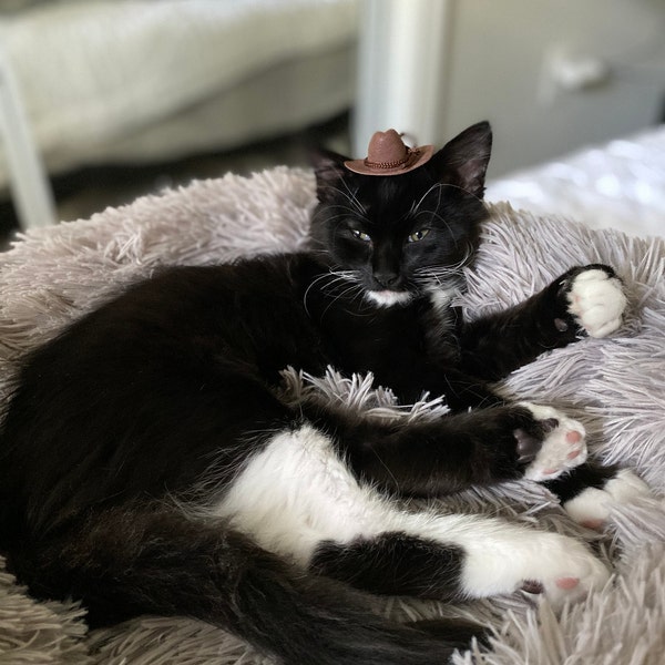 MINI Brown Cowboy Cat Hat FREE SHIPPING - Etsy