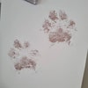Inkless Pet Paw Print Kit Get High-quality Paw Prints With Zero Ink Non ...