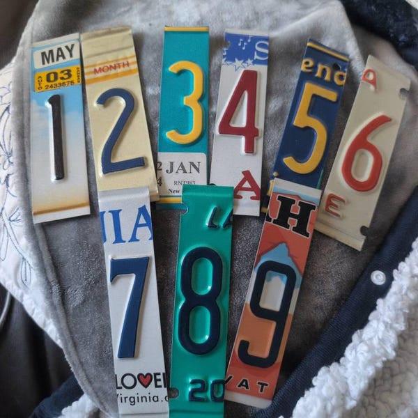 Professionally Cut License Plate LETTERS and Numbers From Real Plates ...