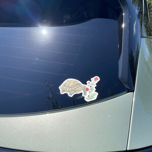 Patient Quail Scientific Illustration Quail Family Funny Desert ...