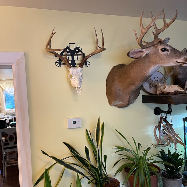 European Skull Mount Hanger - Etsy