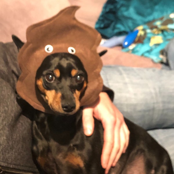 Doodoo Poop Emoji Flat Pet Costume Hat in Soft Brown Felt With Sewn on ...
