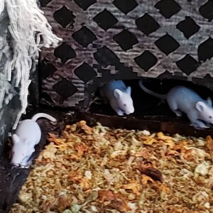 Miniature Rats 1:12 Scale Miniature Size for Horror Diorama, Dollhouse ...