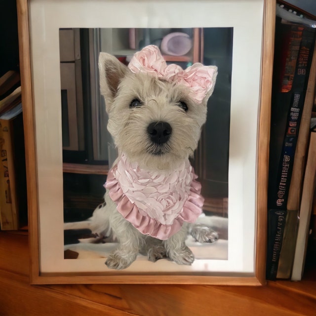 Pawswithstyleshop - Etsy