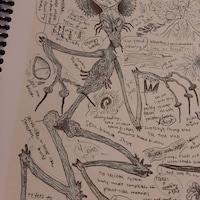 Fireco Monster a Cryptid Centipede: Insect Bestiary Art Print - Etsy