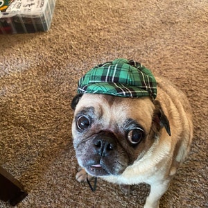 Extra Small or Small Dog Newsboy Cap hat - Etsy