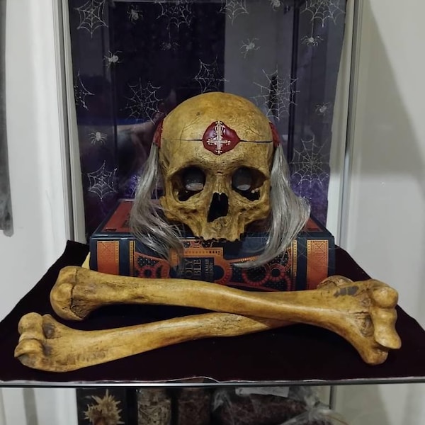 Witch Skull Replica - Historical Human Skull - Magical Bone Art ...