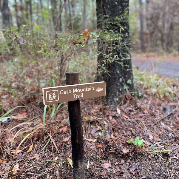 Custom Carved Trail Sign: Personalized Solid Pine Wood - Etsy