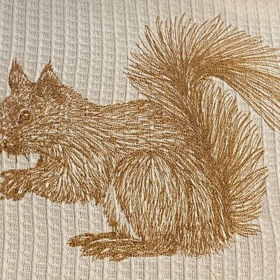 Squirrel Machine Embroidery File, Sketched Style. British Wildlife. 5 ...