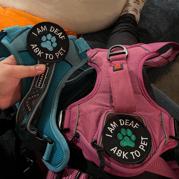 Dog Rescue Patch | 3 Inch Round Patch | Embroidered Rescue Dog Patch ...