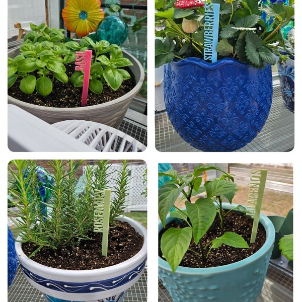 Custom Plant Tags | Custom Names Herb Spice Vegetable Veggie Patch ...