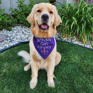 Embroidered 2x6 Patch for Working Dogs With don't Touch Sign and ignore ...