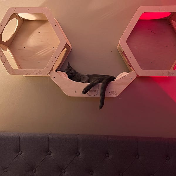 Cat Wall Furniture Full Set, Cat Wall Shelves, Cat Wall Bed, Cat Wall ...