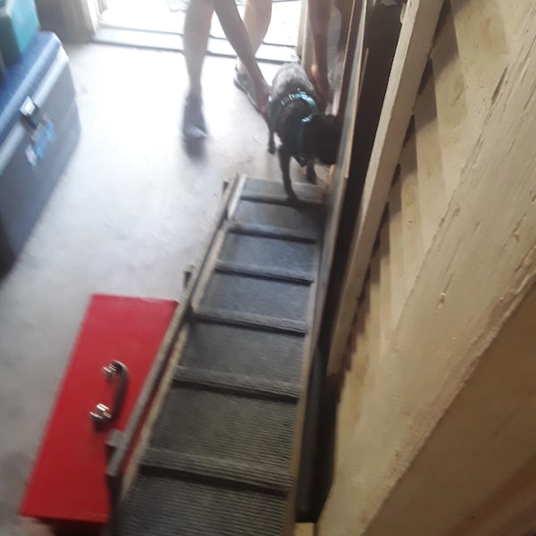 12x56 Adjustable Ramp 2 Side Rails Carpet Traction Bumps Small to ...