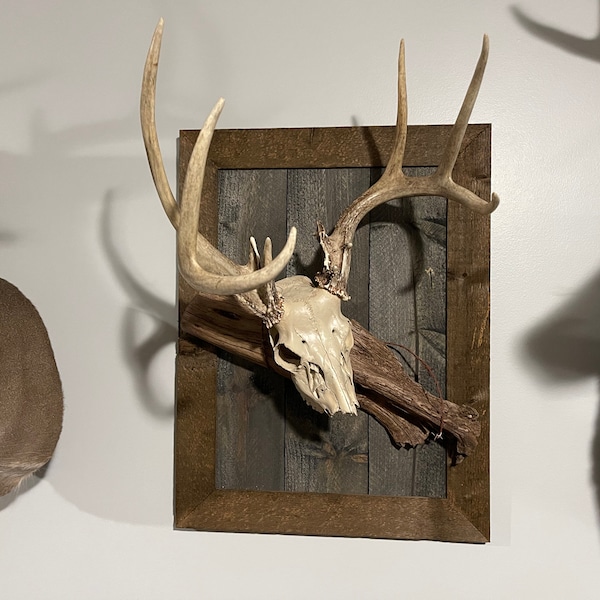 European Mount Plaque - Custom Built - Etsy