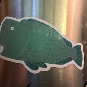 Macrocystis Pyrifera giant Kelp Sticker Vinyl Decal Vinyl - Etsy