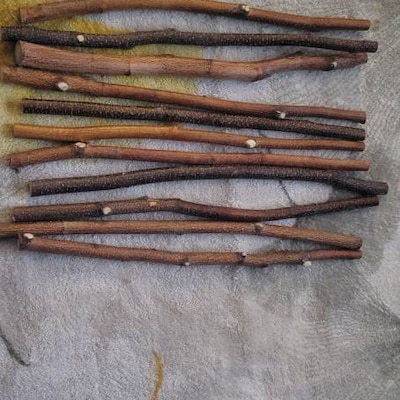 10 Small Birch Craft Logs 12 Sticks for Decor Projects - Etsy