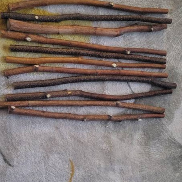10 Small Birch Craft Logs 12" Sticks for Decor Projects Wall Hanging ...