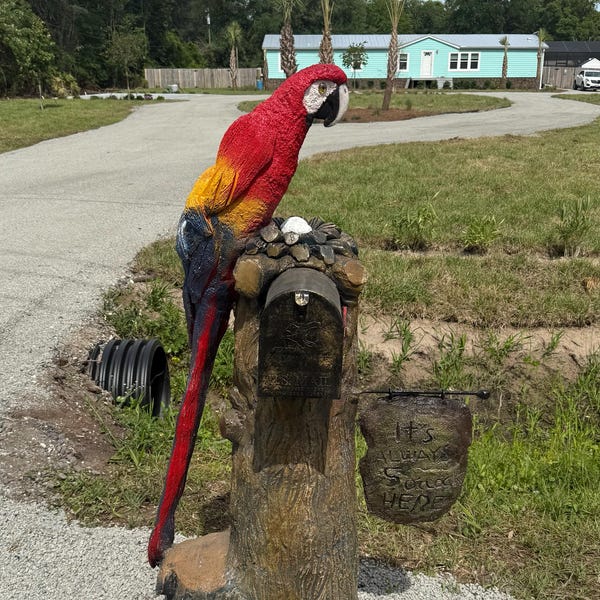 Bass Fish Nautical Mailbox Statue - Unique Custom Mailbox - Etsy