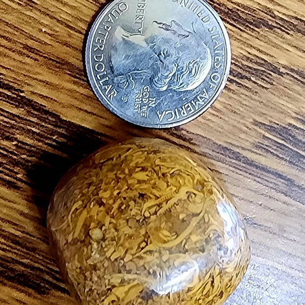 Arabic Miriam Jasper (calligraphy Script Stone) - Tumbled - 1 Stone - Etsy