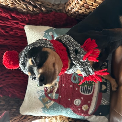 Chartreuse Knit Wool Hat for Small Dog Puppy Hood Chihuahua Clothes ...