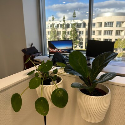 Wall Planter for Your Office: Elevate Your Workspace With Style 3D ...