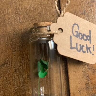 Real Four Leaf Clover in a Bottle Genuine Customizable Message Glass ...