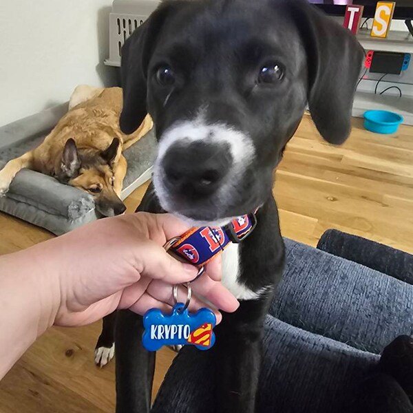 Custom Alphabet Magnets, Fridge Magnets, Resin Magnets, Toddler ...