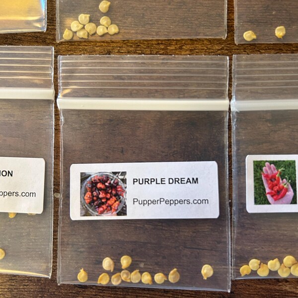 Purple Peach Carolina Reaper Rare Pepper Seeds Premium Packet - Etsy