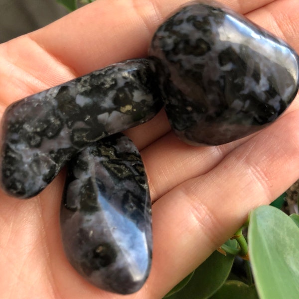 Indigo Gabbro TUMBLED LARGE - Tumbled Indigo Gabbro - Crystals for ...